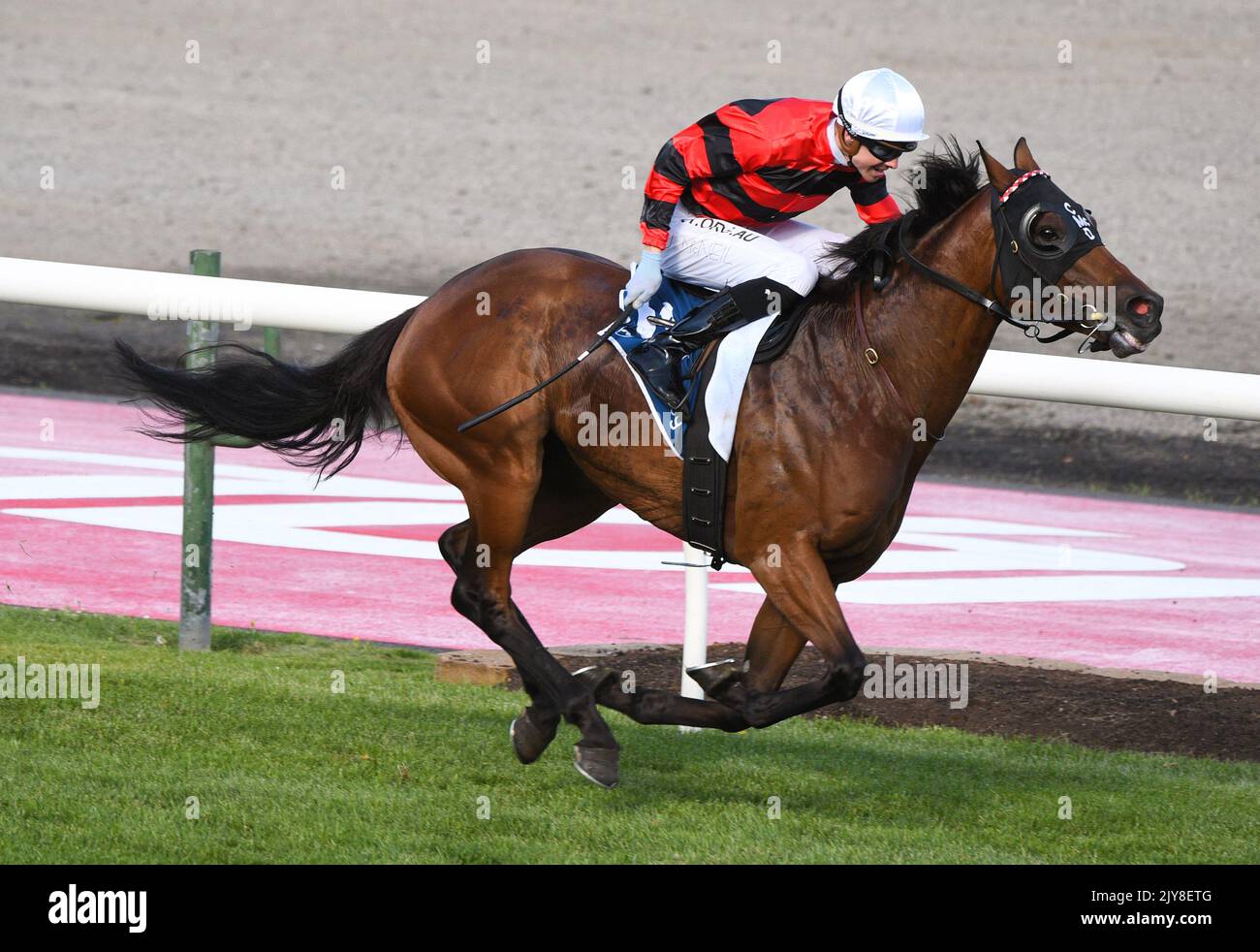 Jockey Jye McNeil rides Never Again to victory in race 8, the ...