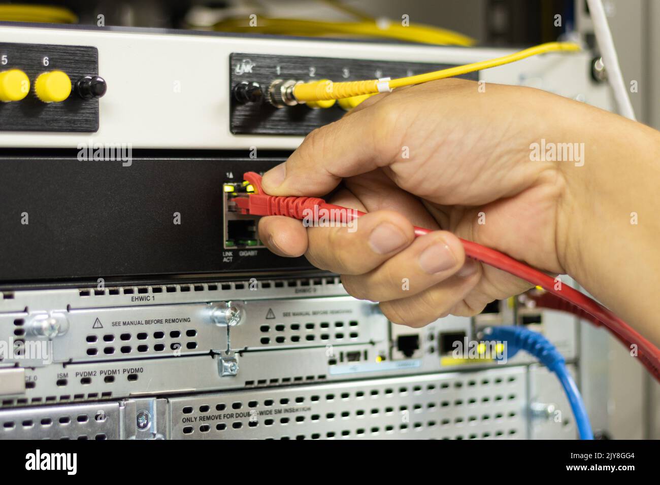 Hand of a man holding The network cables to connect the port of a ...