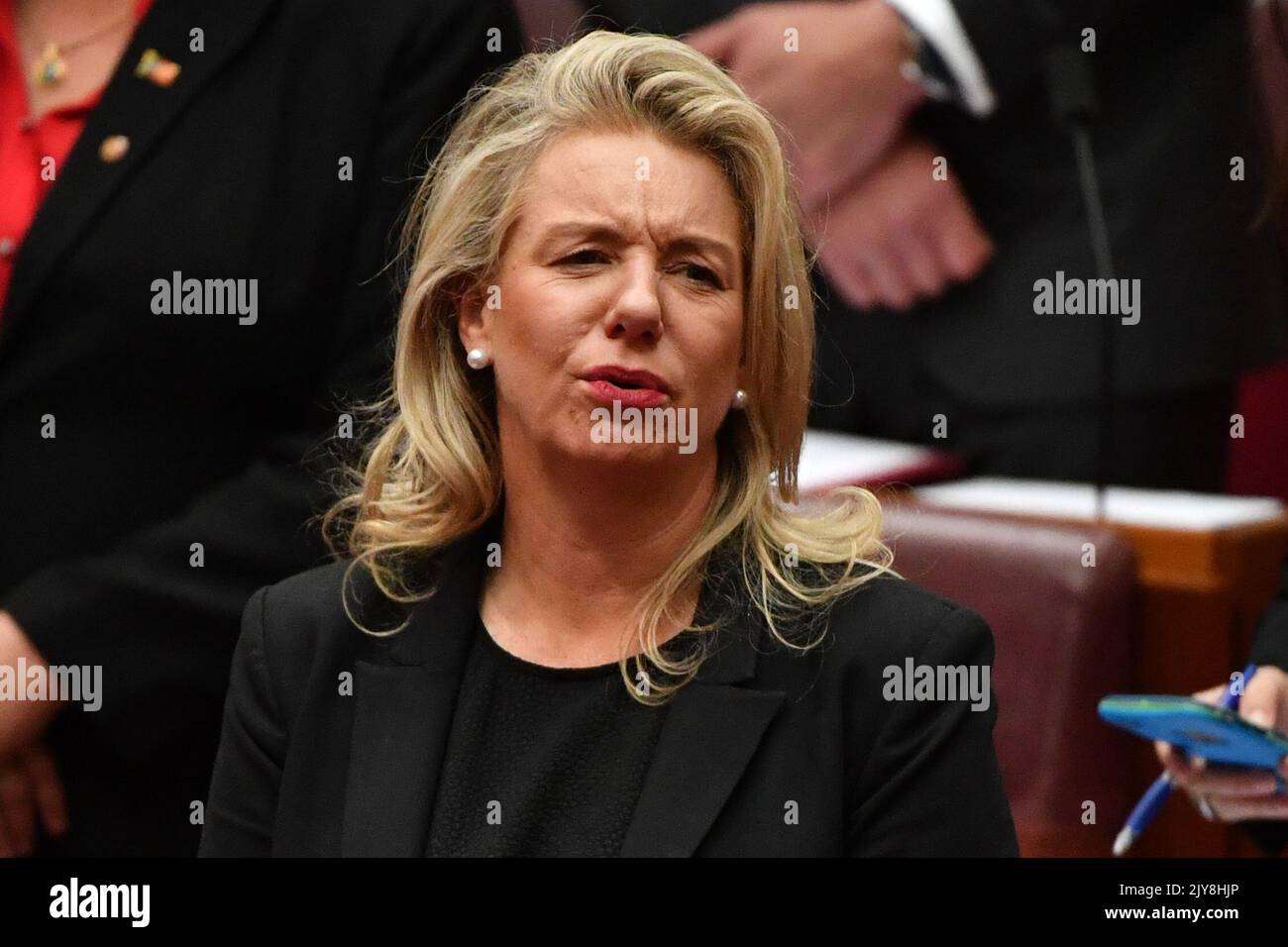 Minister for Agriculture Bridget McKenzie in the Senate chamber at ...