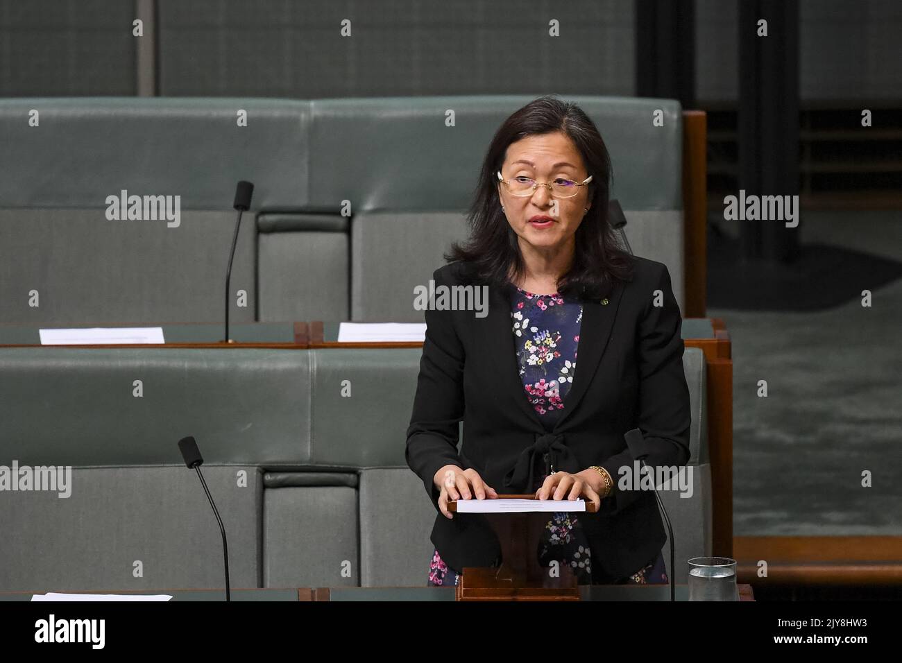 The Liberal member for Chisholm Gladys Liu speaks during House of ...