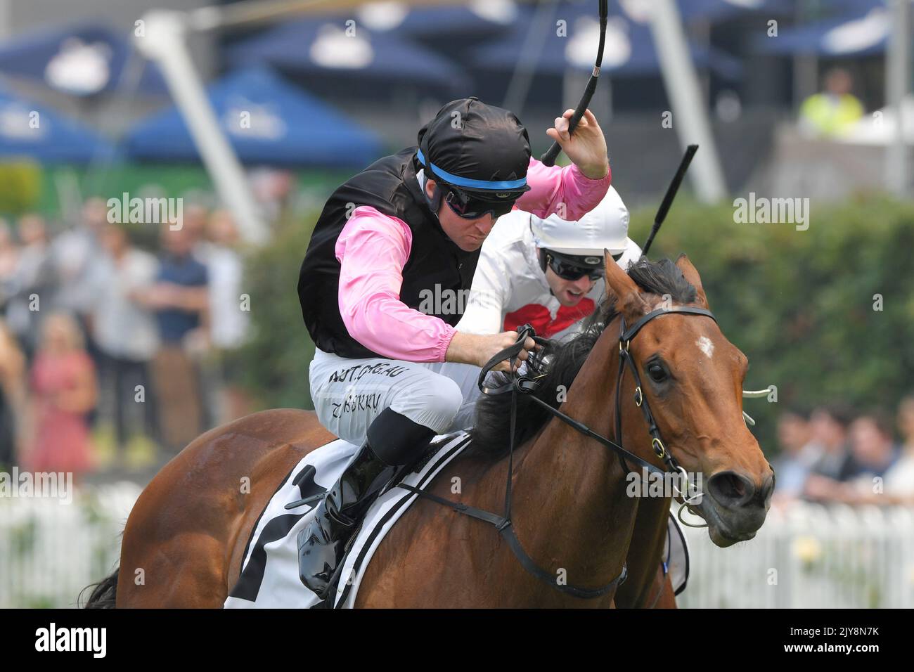 Jockey Tommy Berry rides Sancy to victory in race 1, the Drinkwise ...