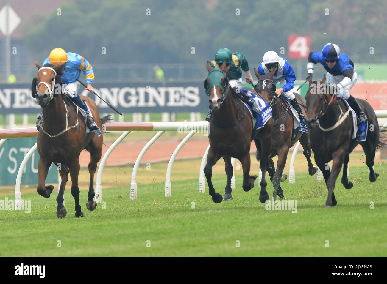 Jockey Hugh Bowman rides Adana to victory in race 2, the Hyland Race ...