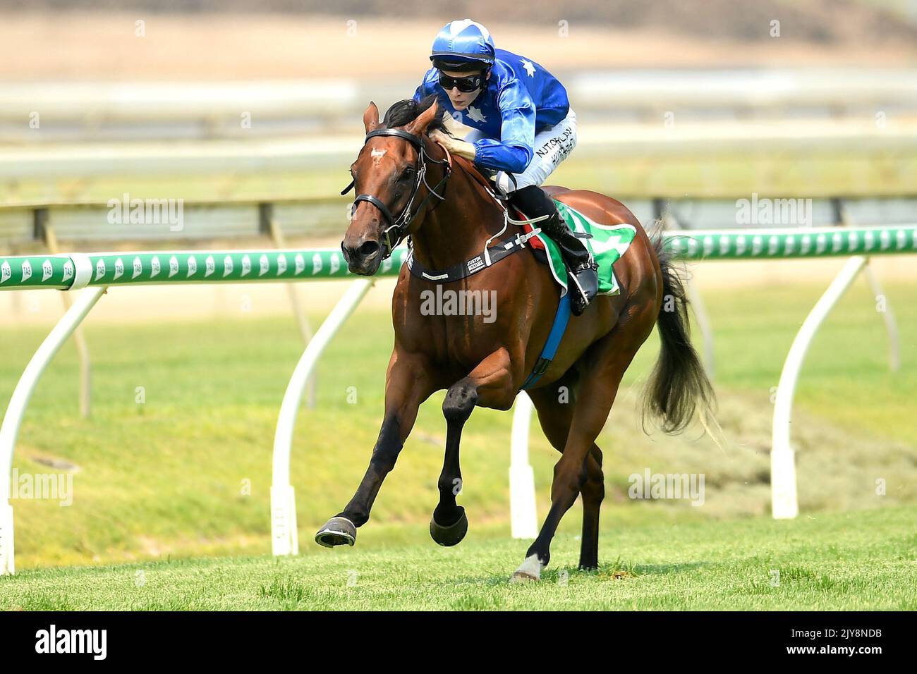 Jockey Justin Huxtable rides Smart Meteor to victory in race 3, the ...