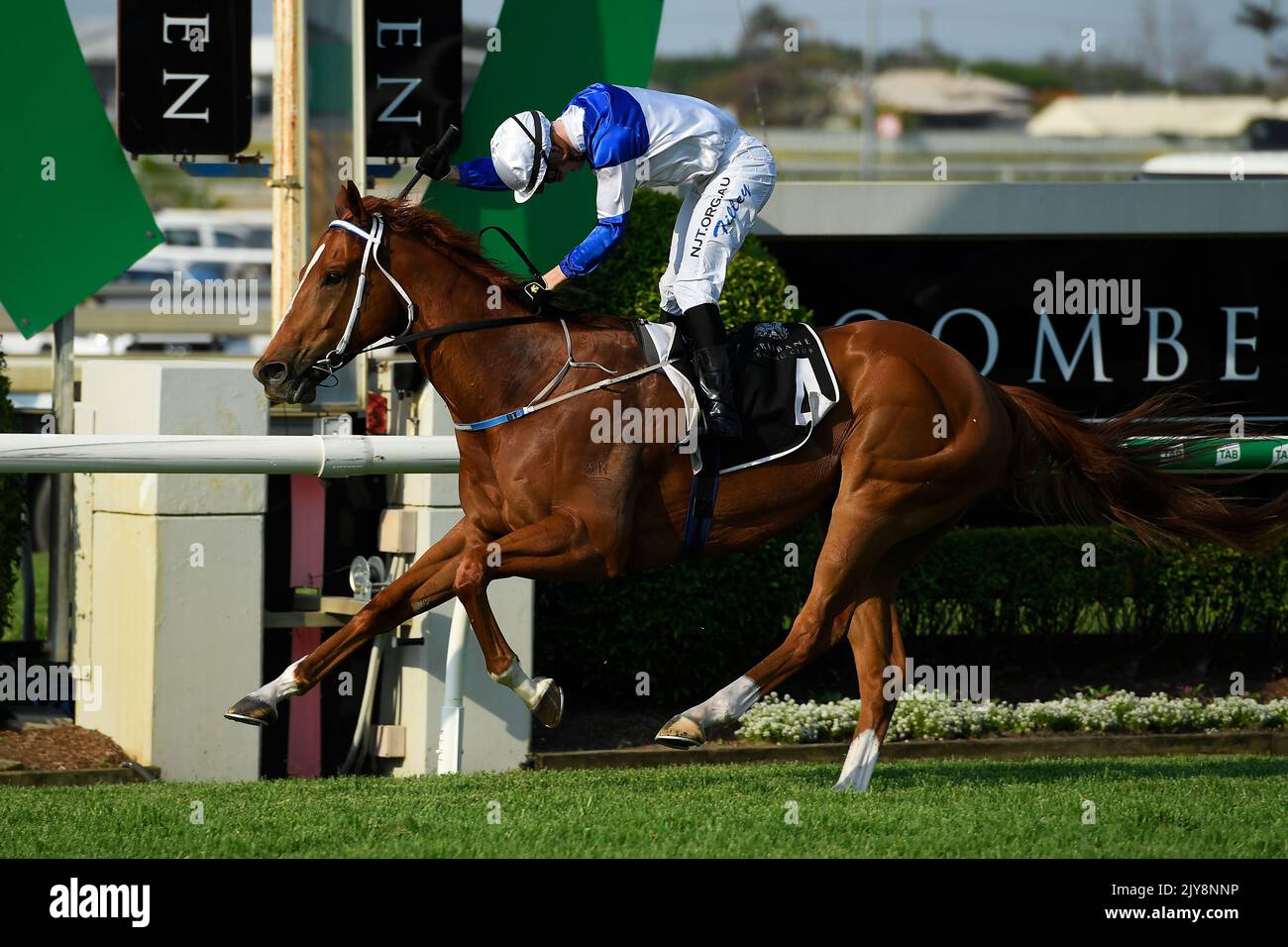 Jockey Les Tilley rides Spurcraft to victory in race 7, the Bribie ...