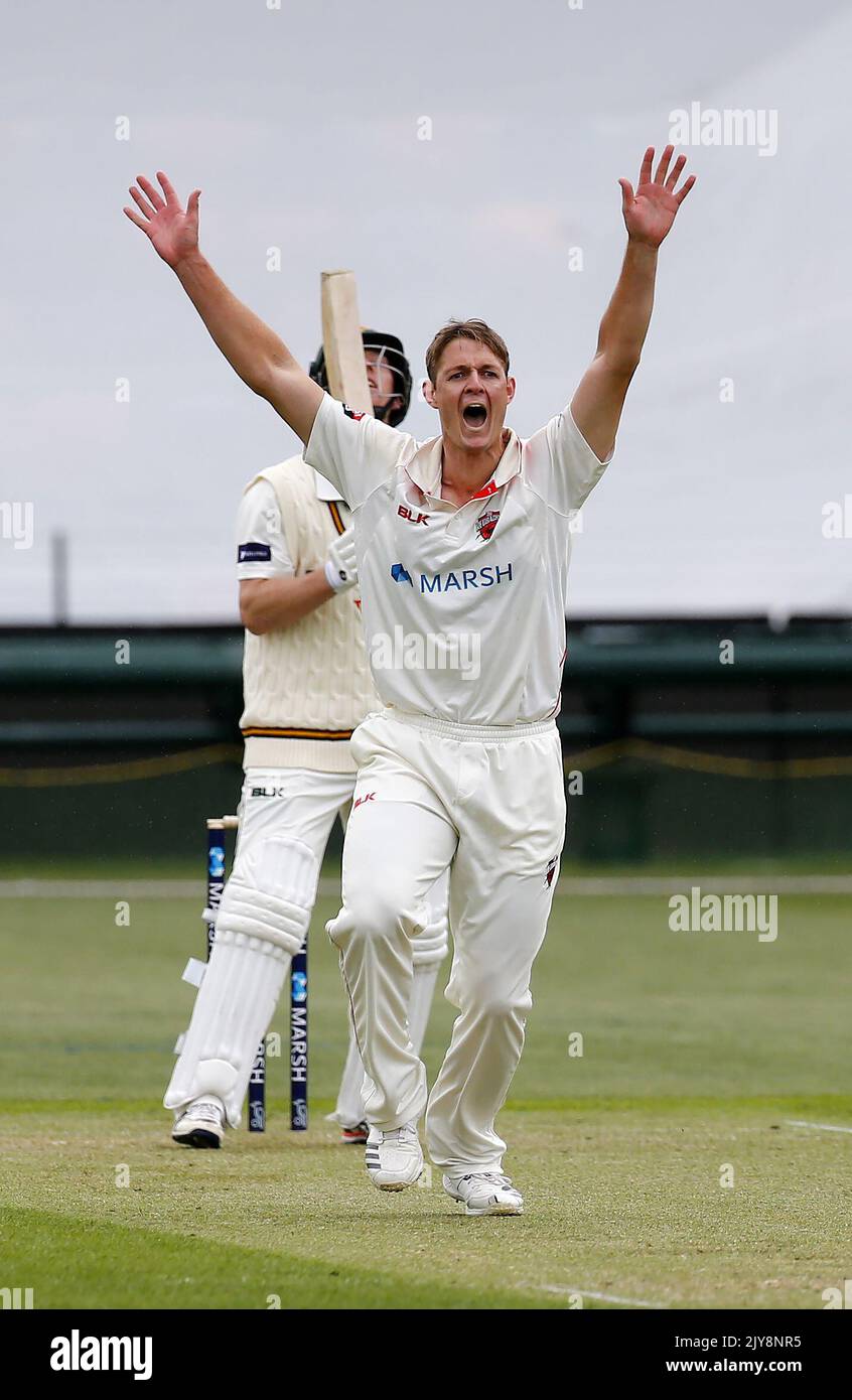 Joe Mennie, SA traps TAS opener Jordan Silk LBW on day 1 of the ...