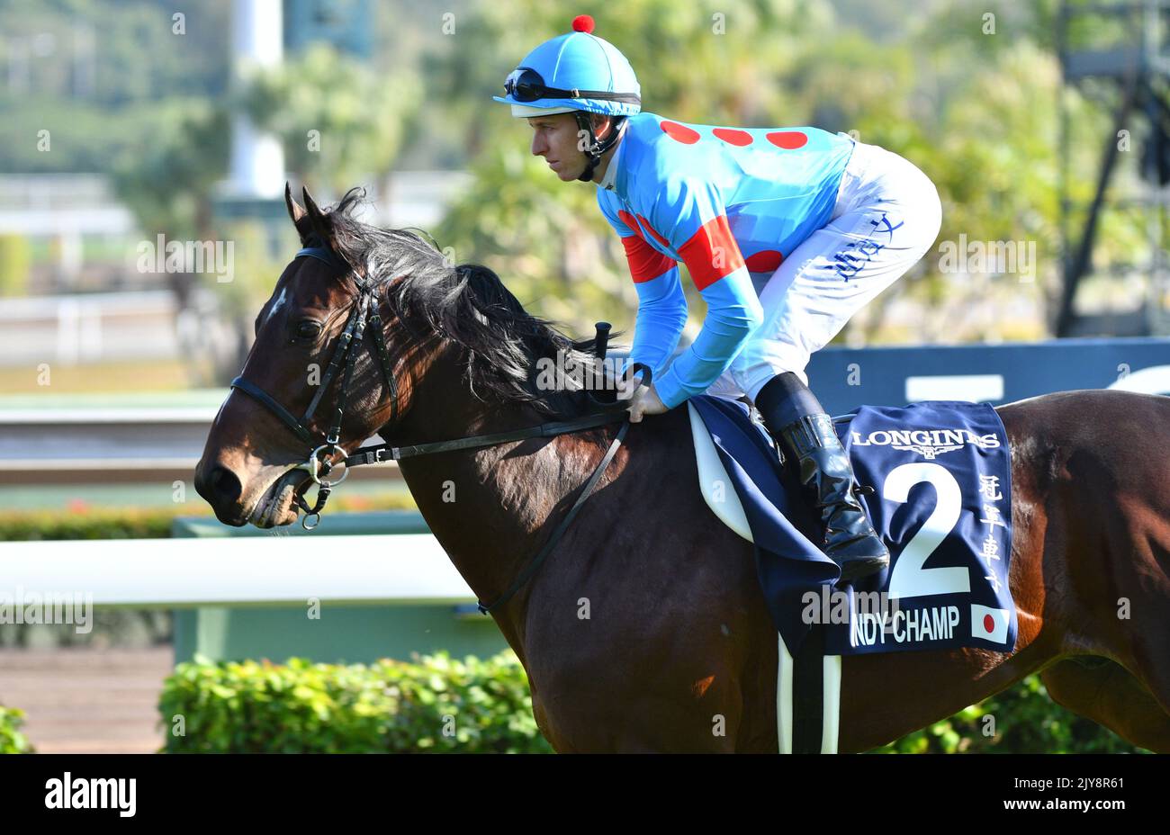 Jockey Damian Lane rides Indy Champ of Japan to the start in race 7 ...