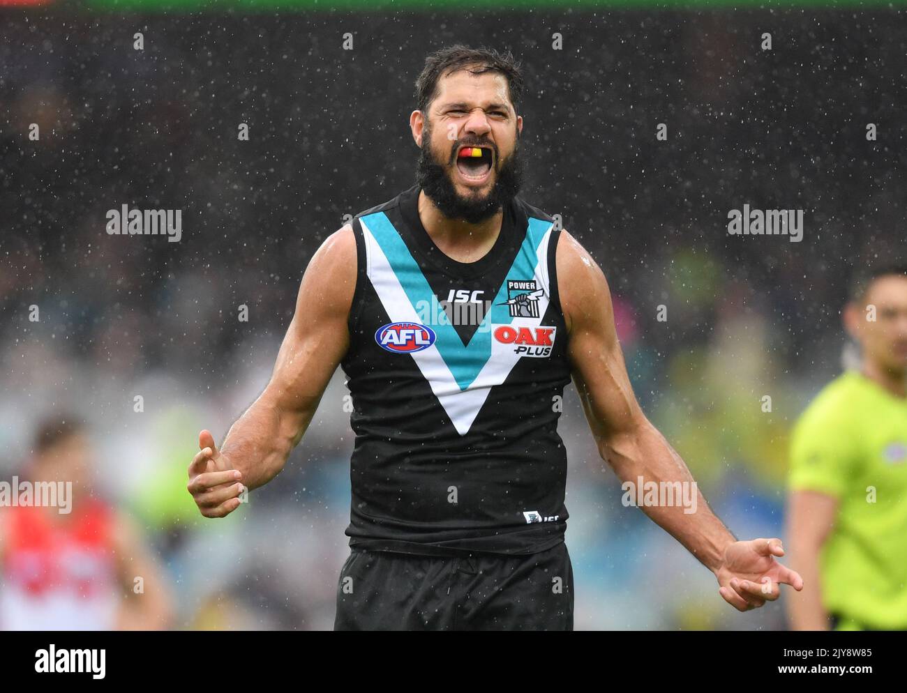 *This picture has been selected as one of the Best of the Year Sports ...