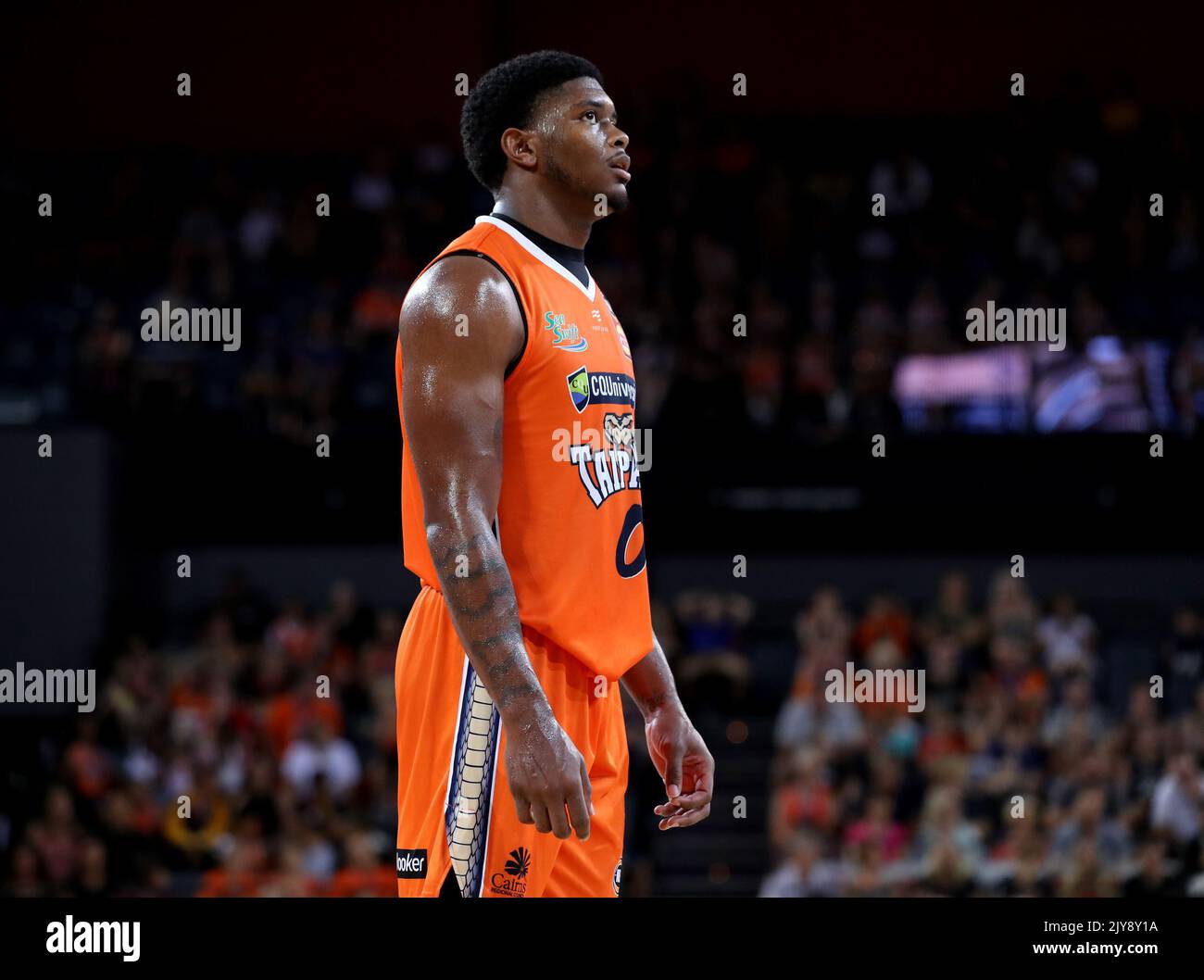 Cameron Oliver of the Taipans during the Round 11 NBL match between the ...