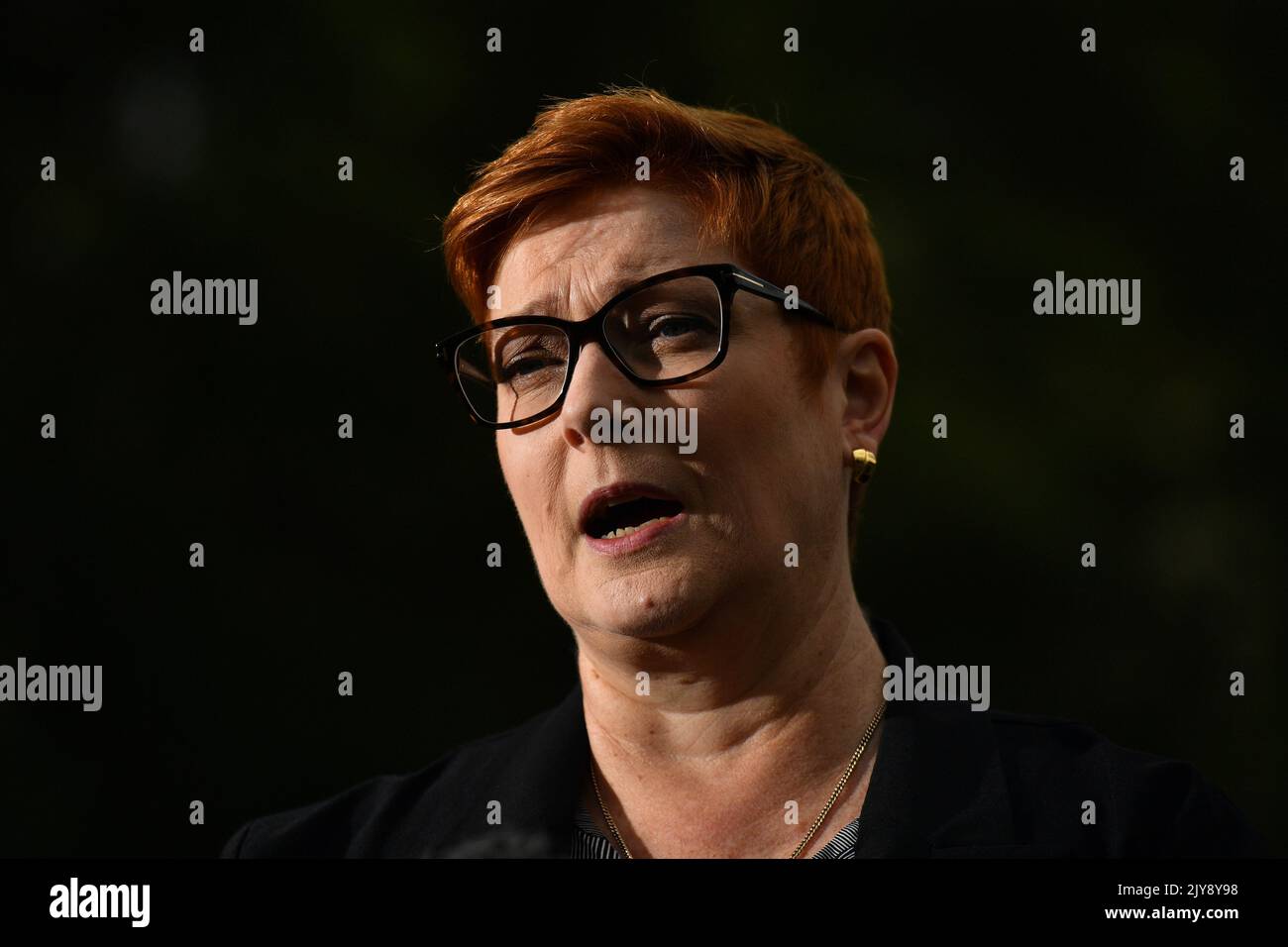 Minister for Foreign Affairs Marise Payne at a press conference to ...