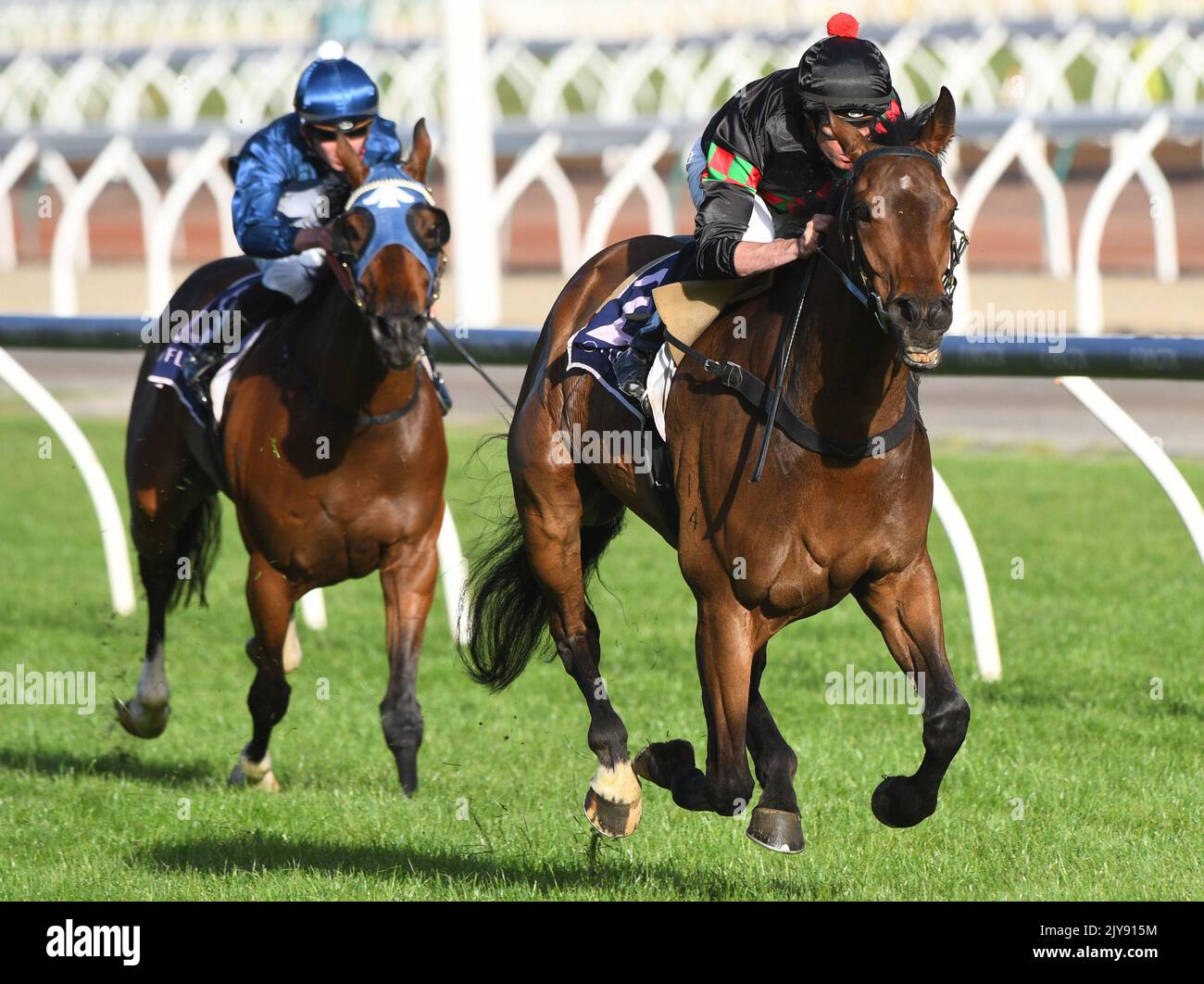 Jockey Billy Egan rides Defibrillate to victory in race 7, the Summer ...