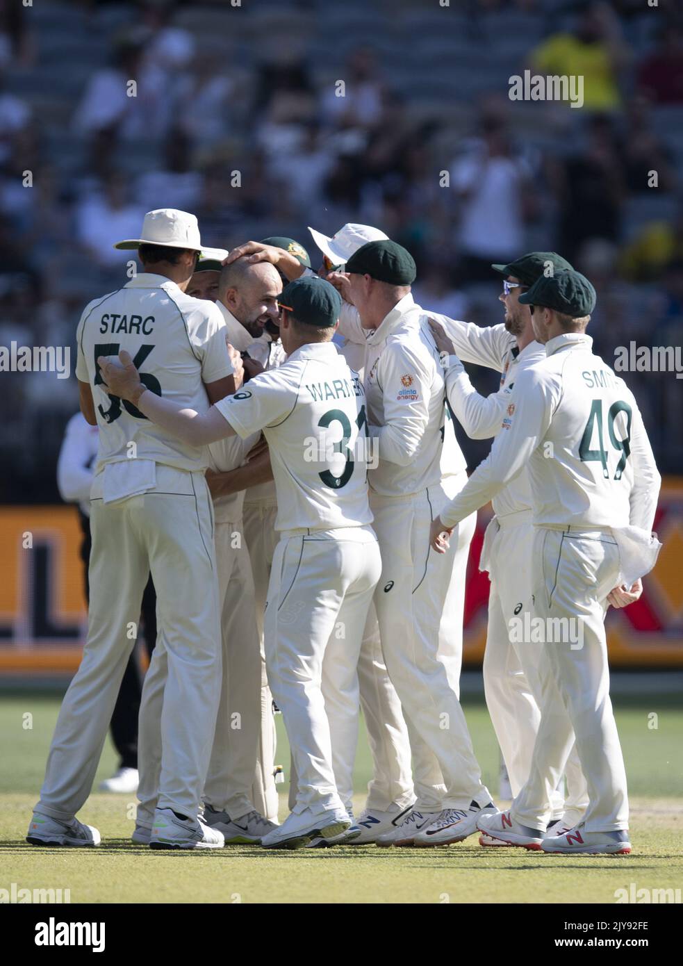 Australian bowler Nathan Lyon (left) celebrates dismissing New Zealand ...