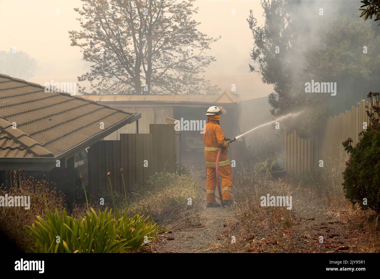 CFS firefighters put out fires on Jacaranda Drive at Woodside in the ...