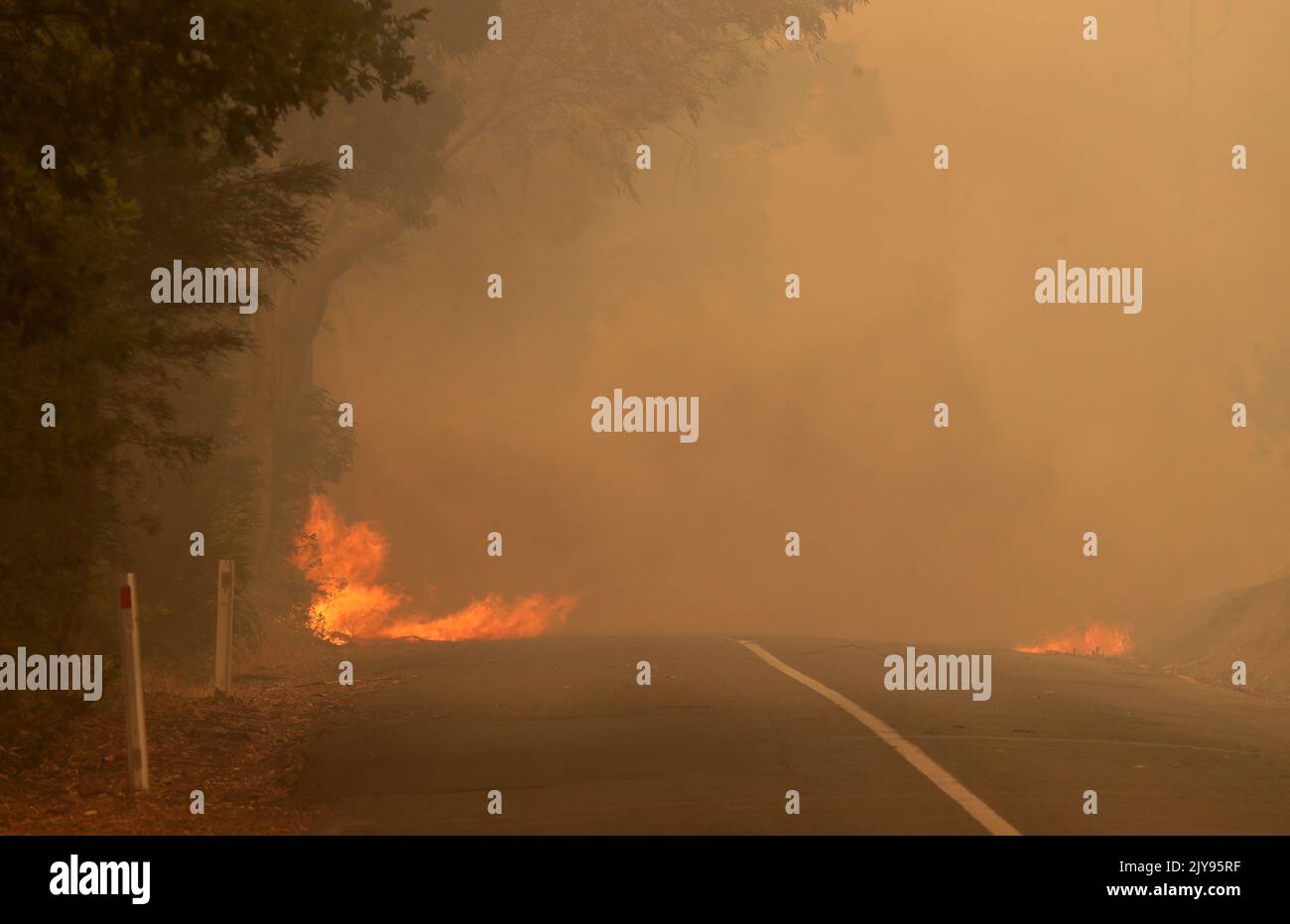 Fire crosses Ridge Road at Woodside in the Adelaide Hills in Adelaide ...