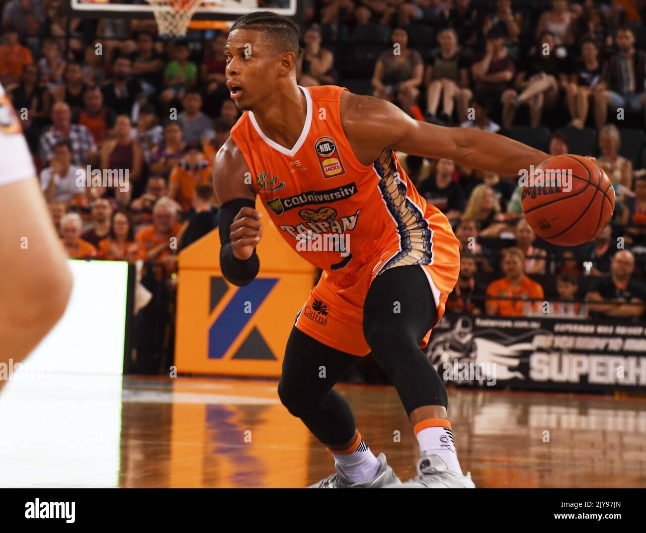 Taipans Scott Machado during the Round 12 NBL match between the Cairns ...
