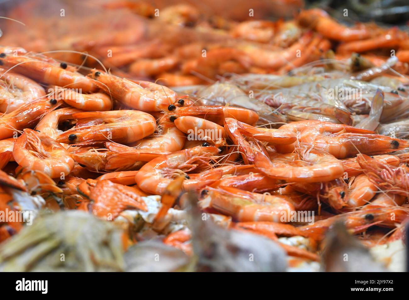 Seafood is seen on display for purchase at the Queen Victoria Market ...