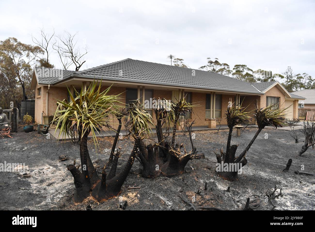 The front yard of a house damaged by Saturday's catastrophic bushfires ...