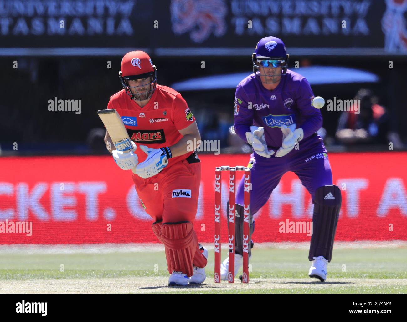 Aaron Finch of the Renegades bats during the Big Bash League (BBL ...