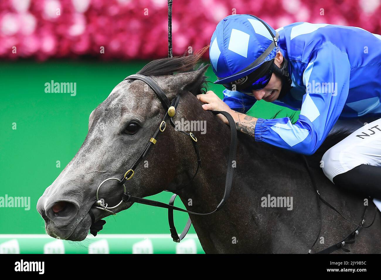 Jockey Boris Thornton rides Jami Lady to victory in race 3, the QTIS ...