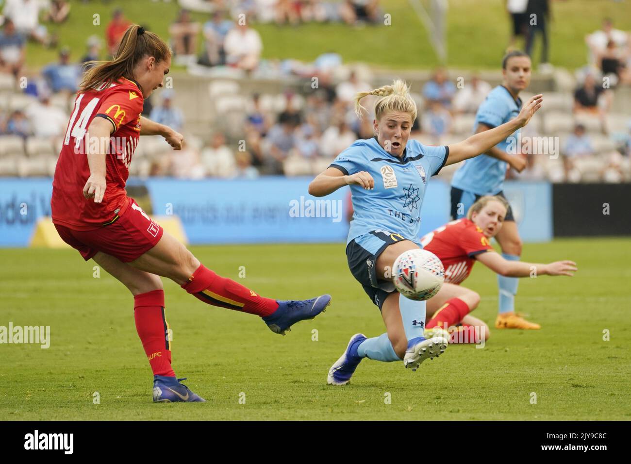 during the Round 7 W-League match between Sydney FC and Adelaide United ...