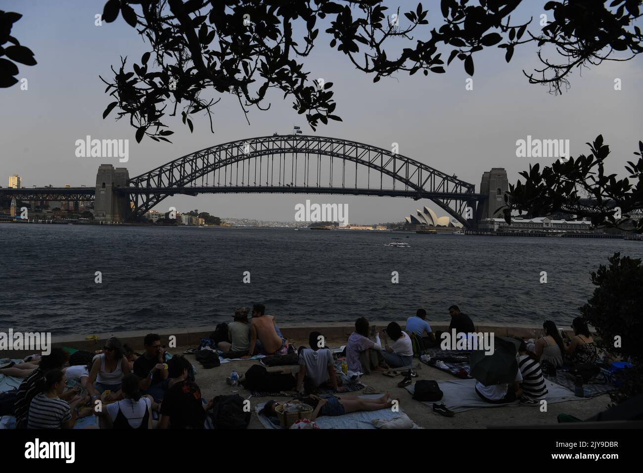 Revellers wait at Blues Point Reserve ahead of the Year's Eve ...