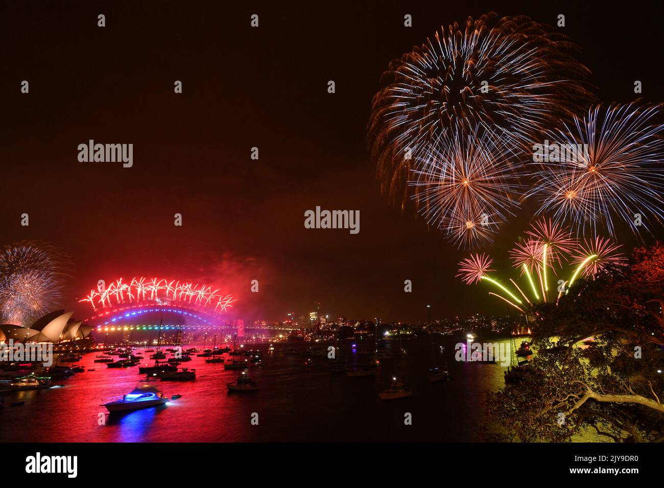 The midnight fireworks are seen from Mrs Macquarie's Chair during New ...
