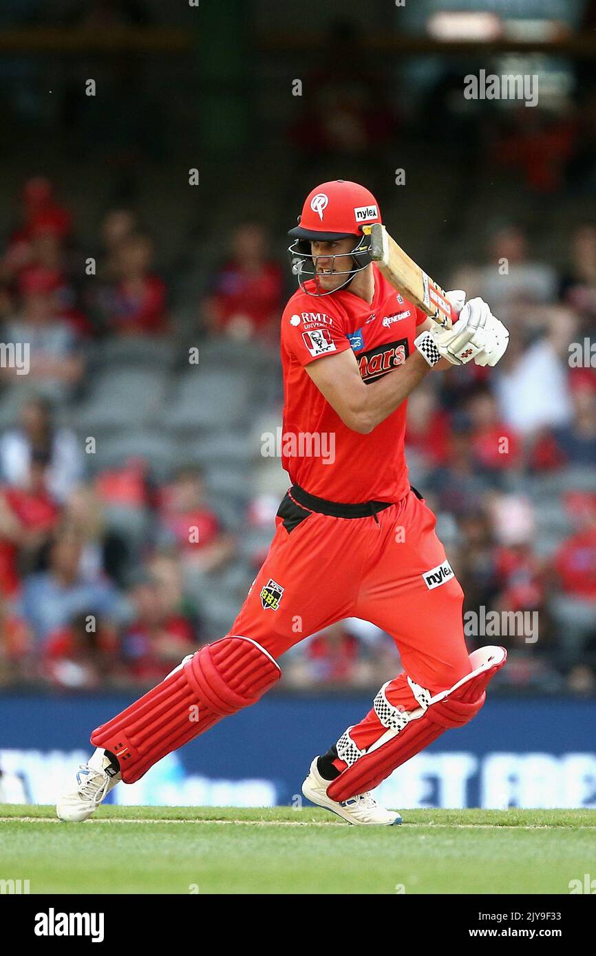 Beau Webster of the Renegades plays a shot during the Big Bash League ...
