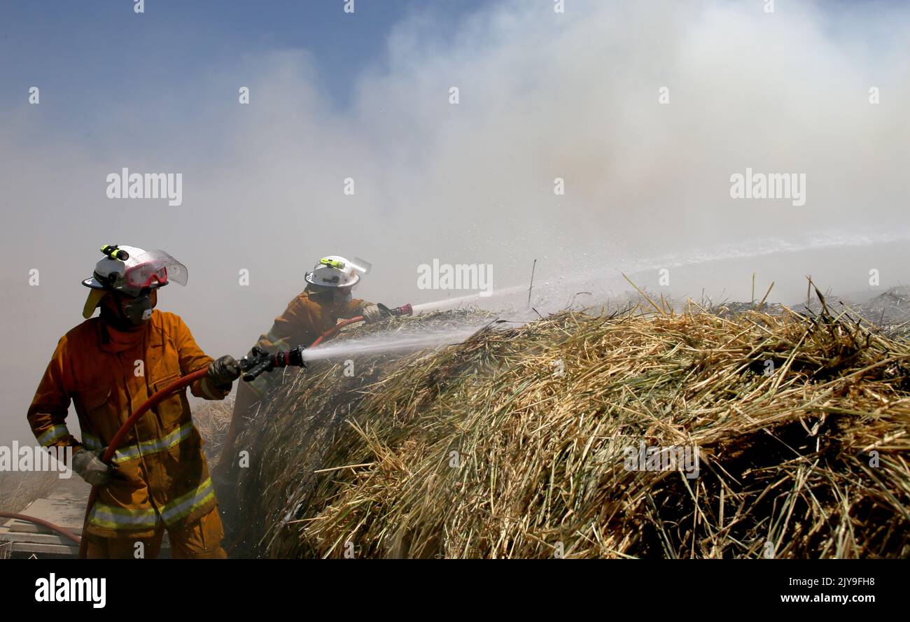 CFS members put out a fire which reached Hay bails on a property at ...