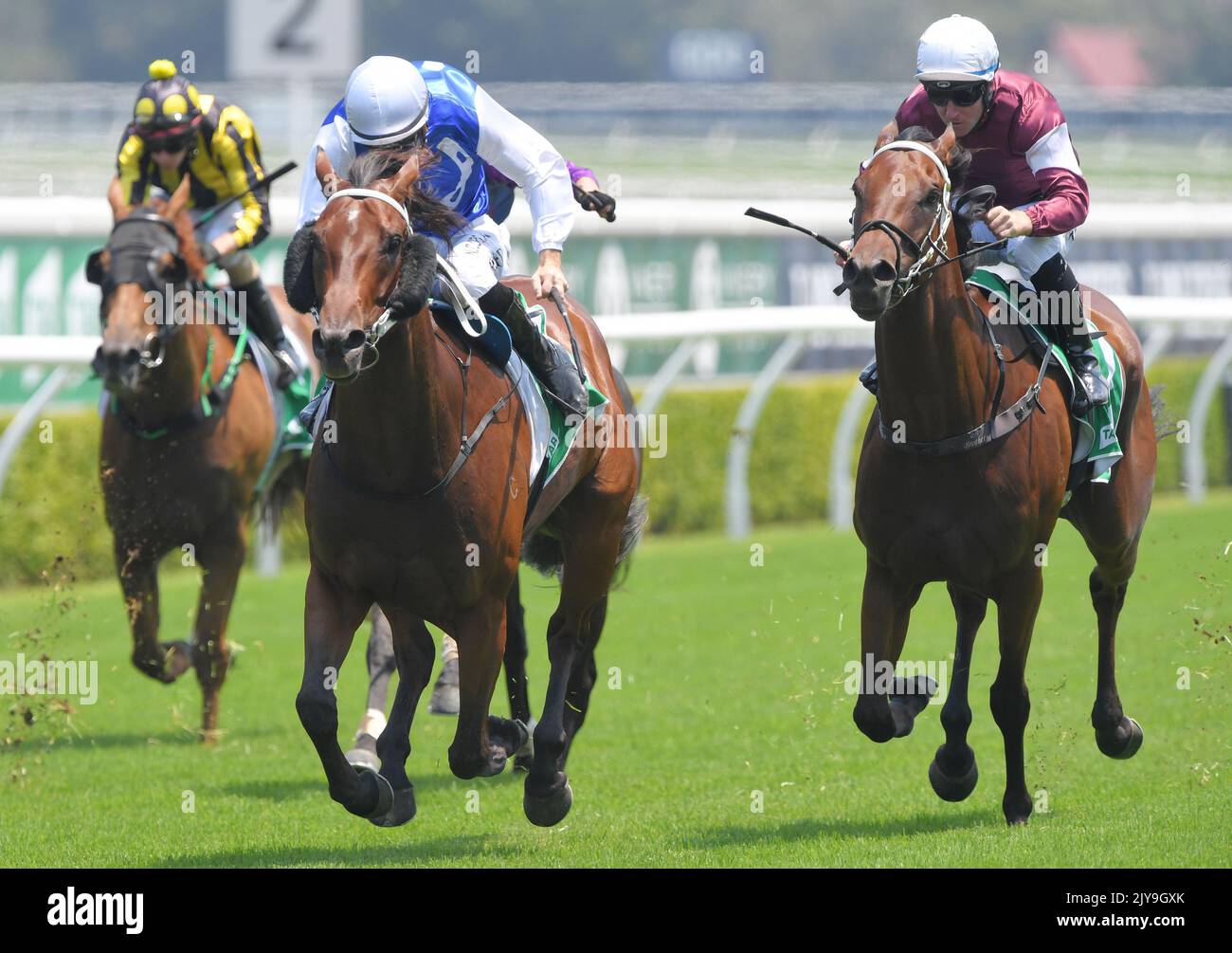 Jockey Jay Ford rides Denmiss to victory in race 2, the TAB Highway ...