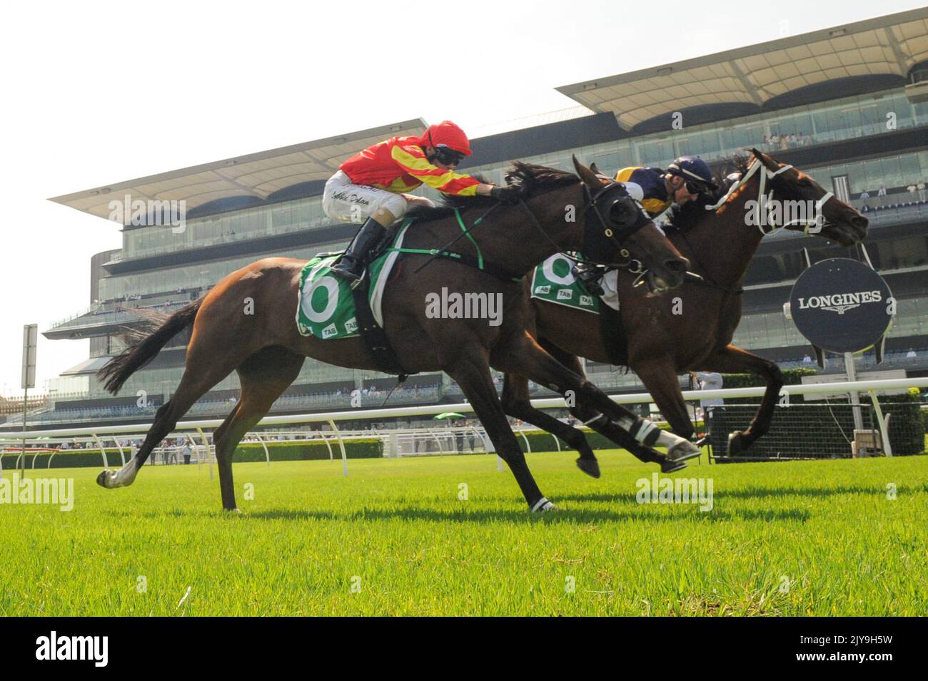 Jockey Nash Rawiller rides Dark Pearl to victory in race 5, the TAB ...