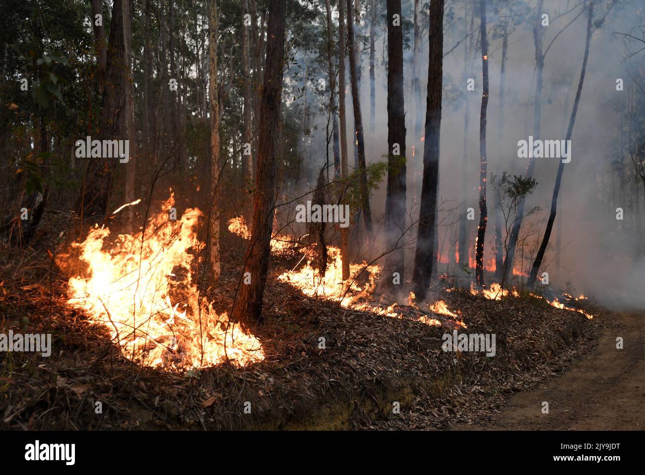 Rural Fire Service volunteers (RFS), National Parks and Wildlife ...