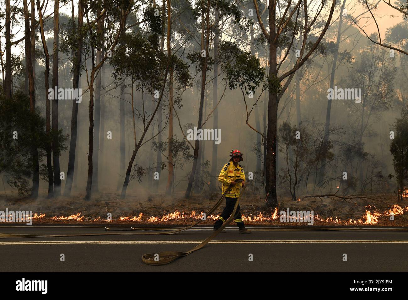Rural Fire Service volunteers (RFS) and Fire and Rescue NSW officers ...