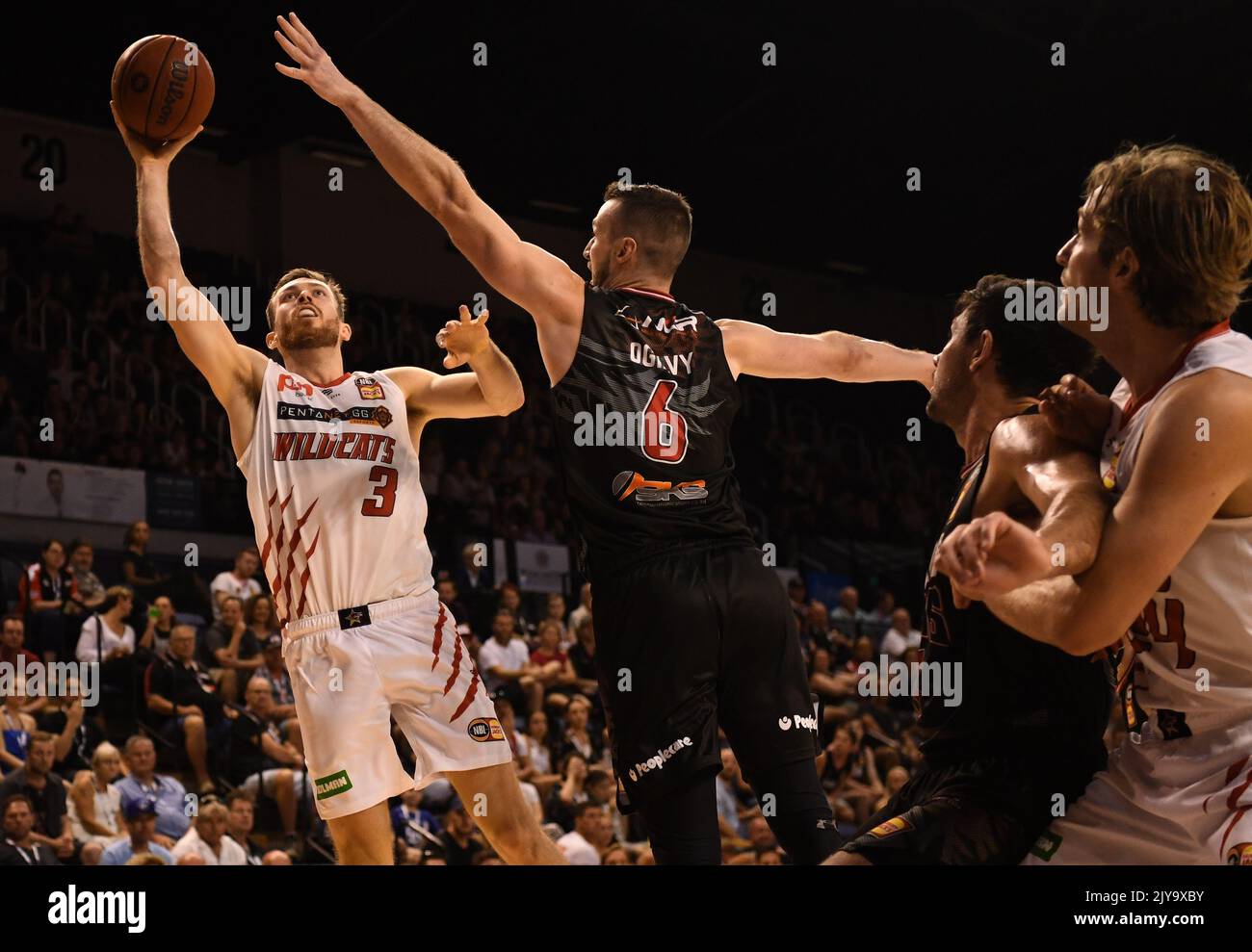 Nicholas Kay of the Wildcats shoots despite pressure from Andrew Ogilvy ...