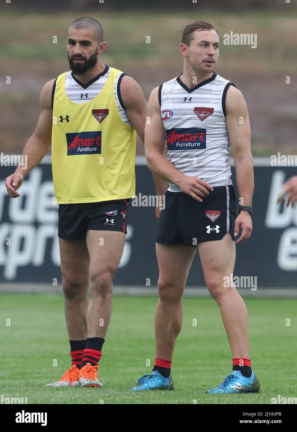 Adam Saad and Devon Smith during an Essendon Bombers training session ...