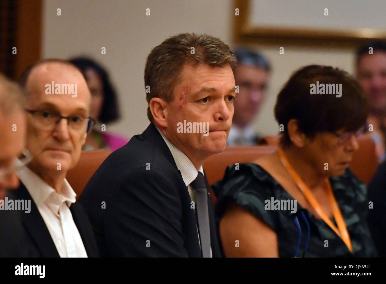 National Bushfire Recovery Agency chief Andrew Colvin at the Bushfire ...