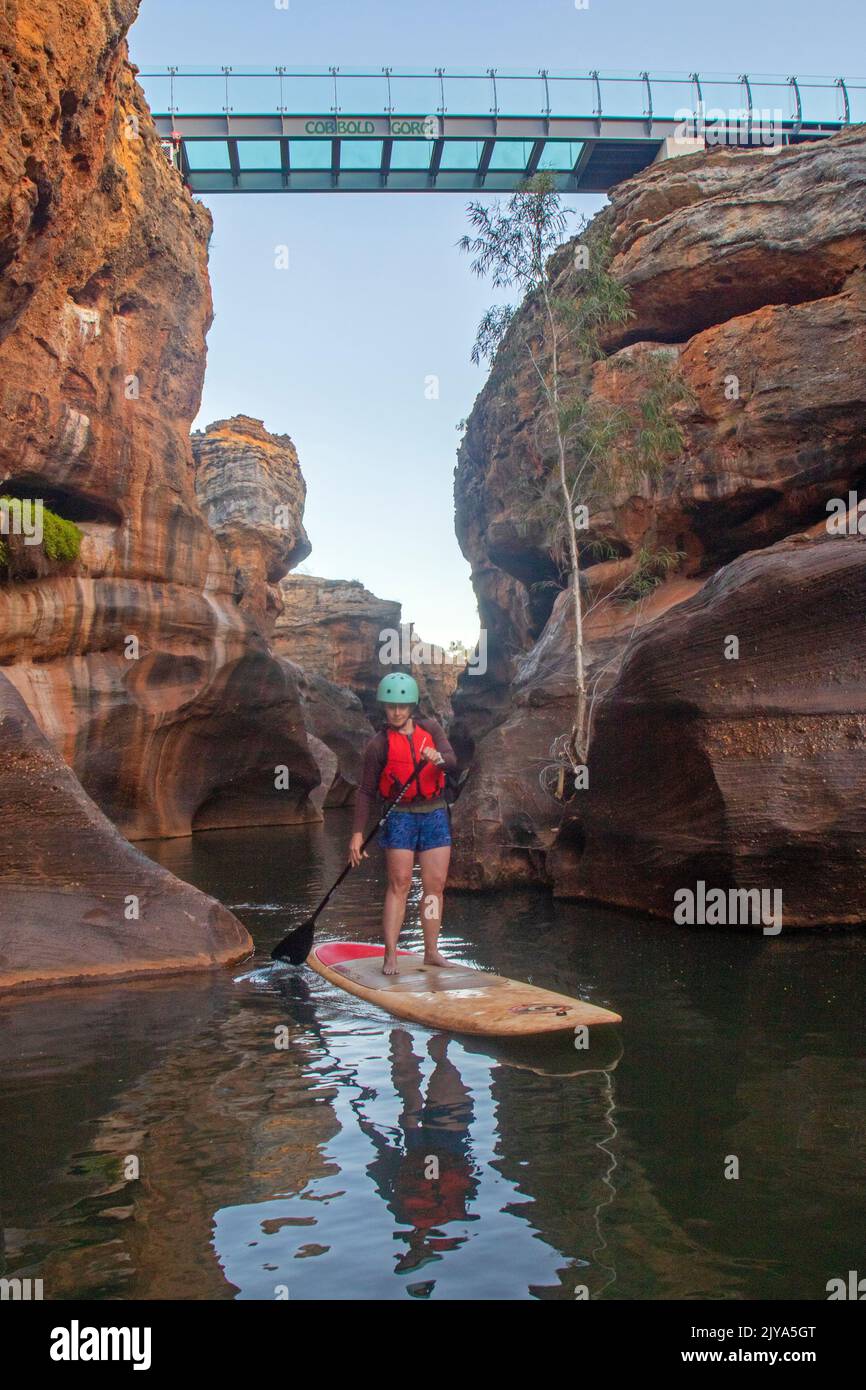 Stand-up paddleboarding in Cobbold Gorge Stock Photo - Alamy