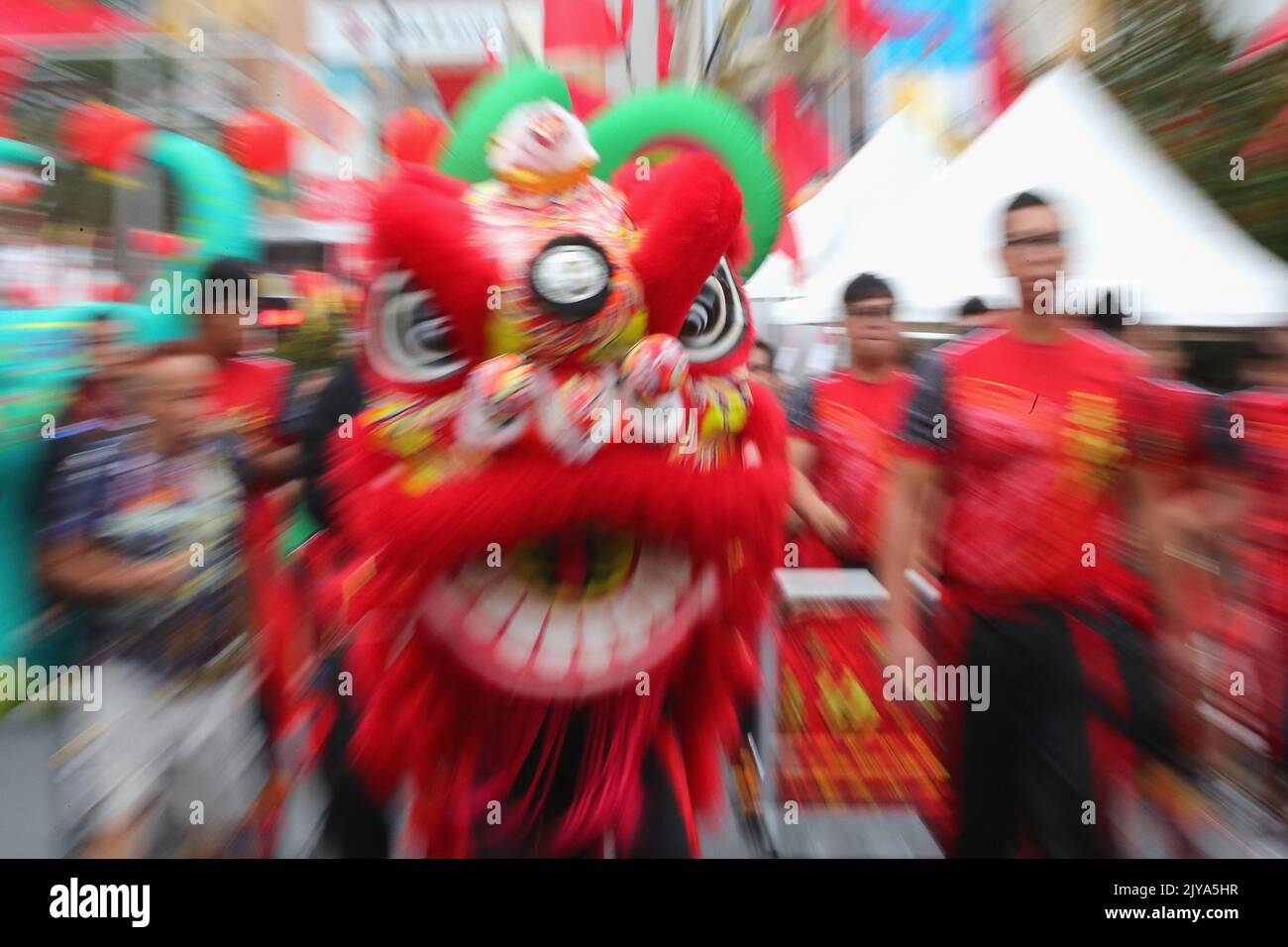 Lion dancers perform during the Georges River Lunar New Year Festival ...