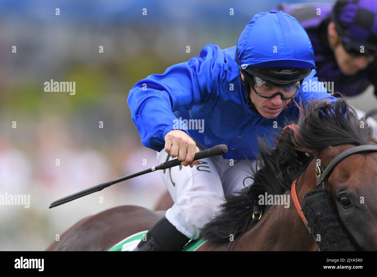 Jockey Tim Clark rides Enfleurage to victory in race 5, the Jack Ashman ...