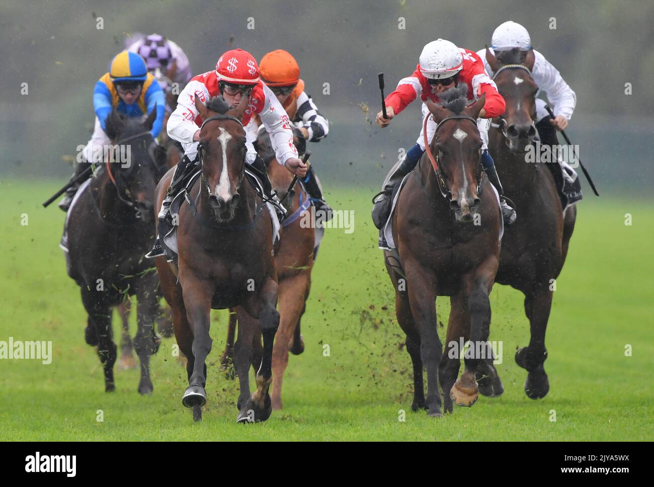 Jockey Brock Ryan rides Inanup to victory in race 6, the Mark Merlino ...