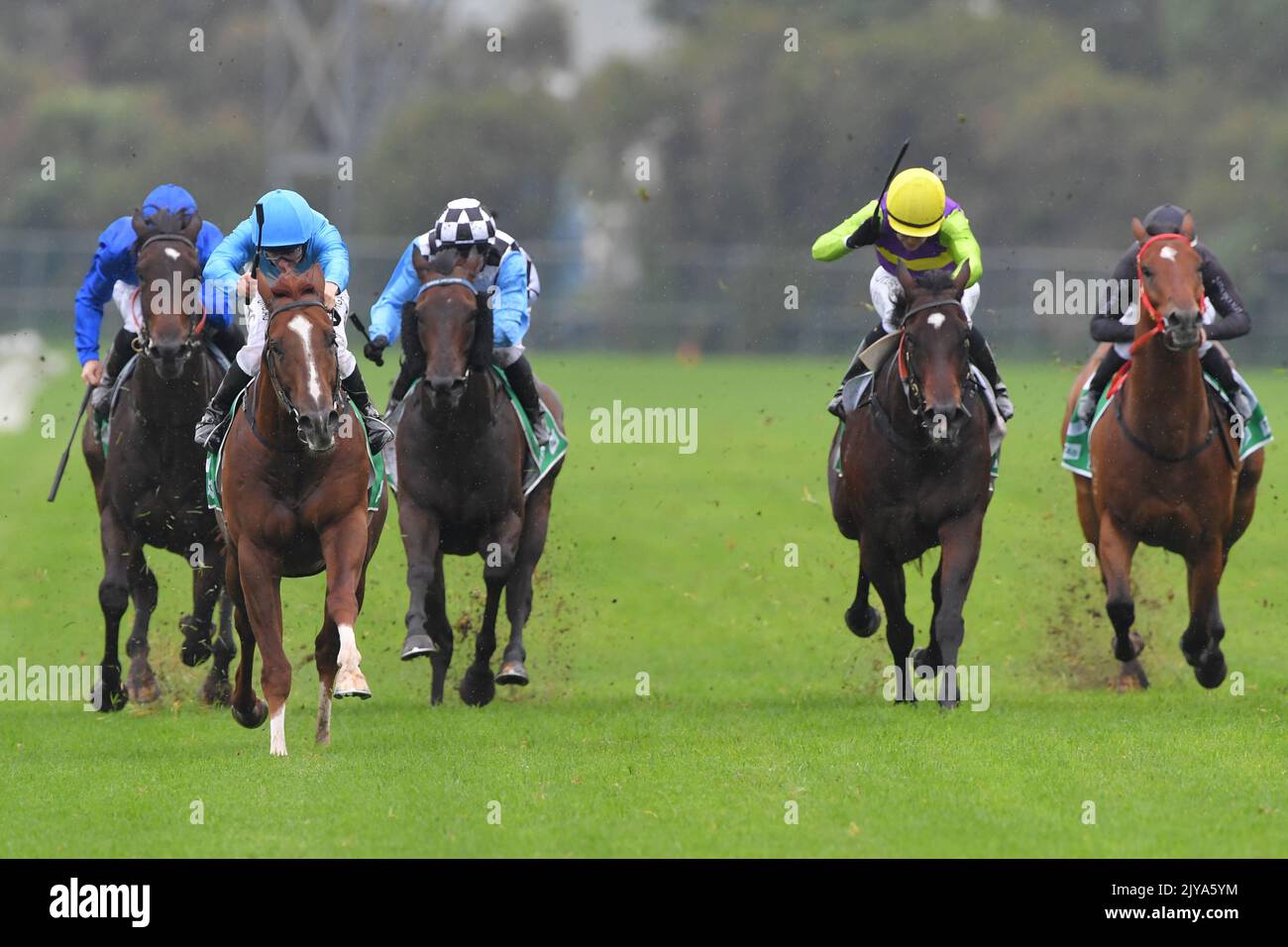 Jockey Tim Clark rides Embracer to victory in race 7, the Bill ...