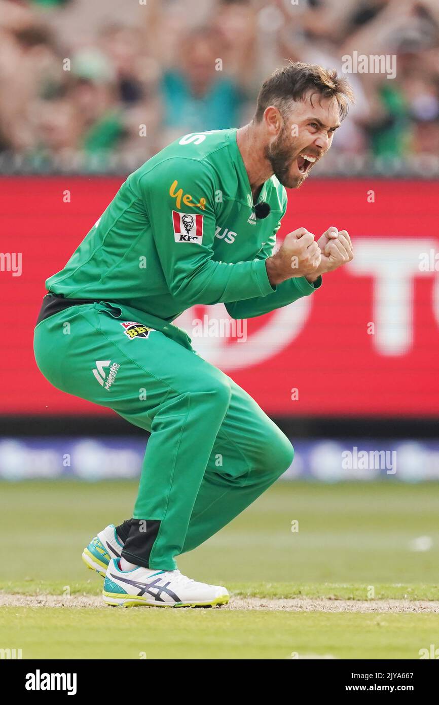 Glenn Maxwell of the Stars celebrates a wicket during the Big Bash ...