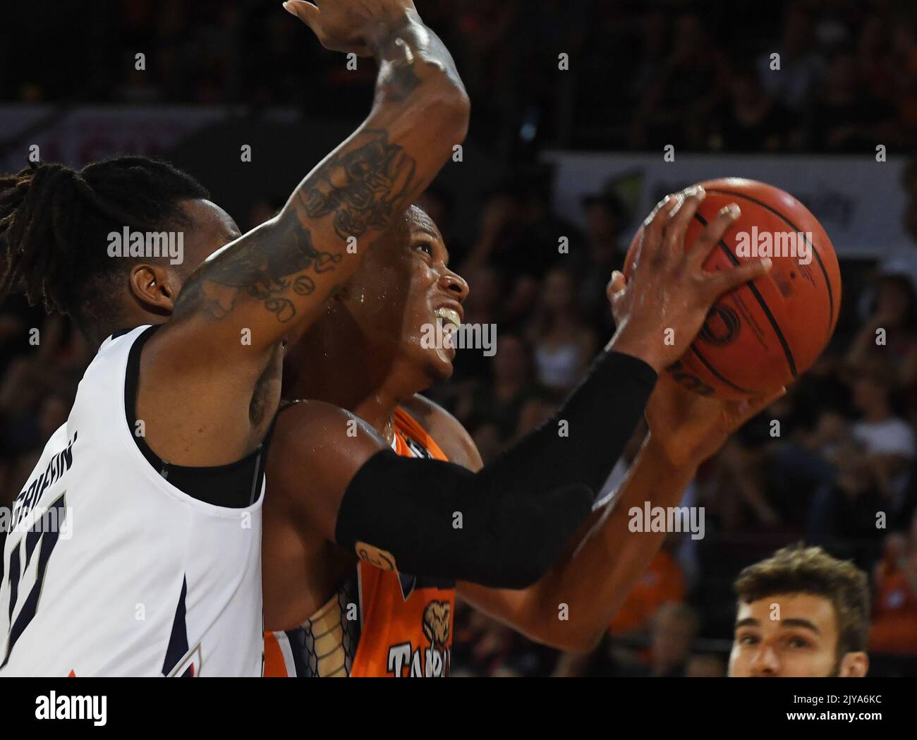 Taipans' Scott Machado prepares to shoot during the Round 16 NBL match ...