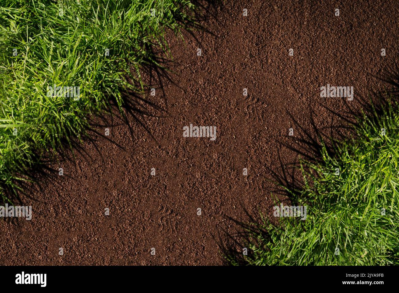 grass and earth Stock Photo - Alamy