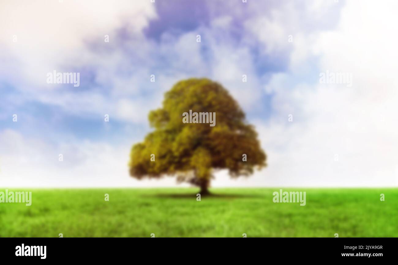 Idyllic view of tree on grass field against sky Stock Photo - Alamy