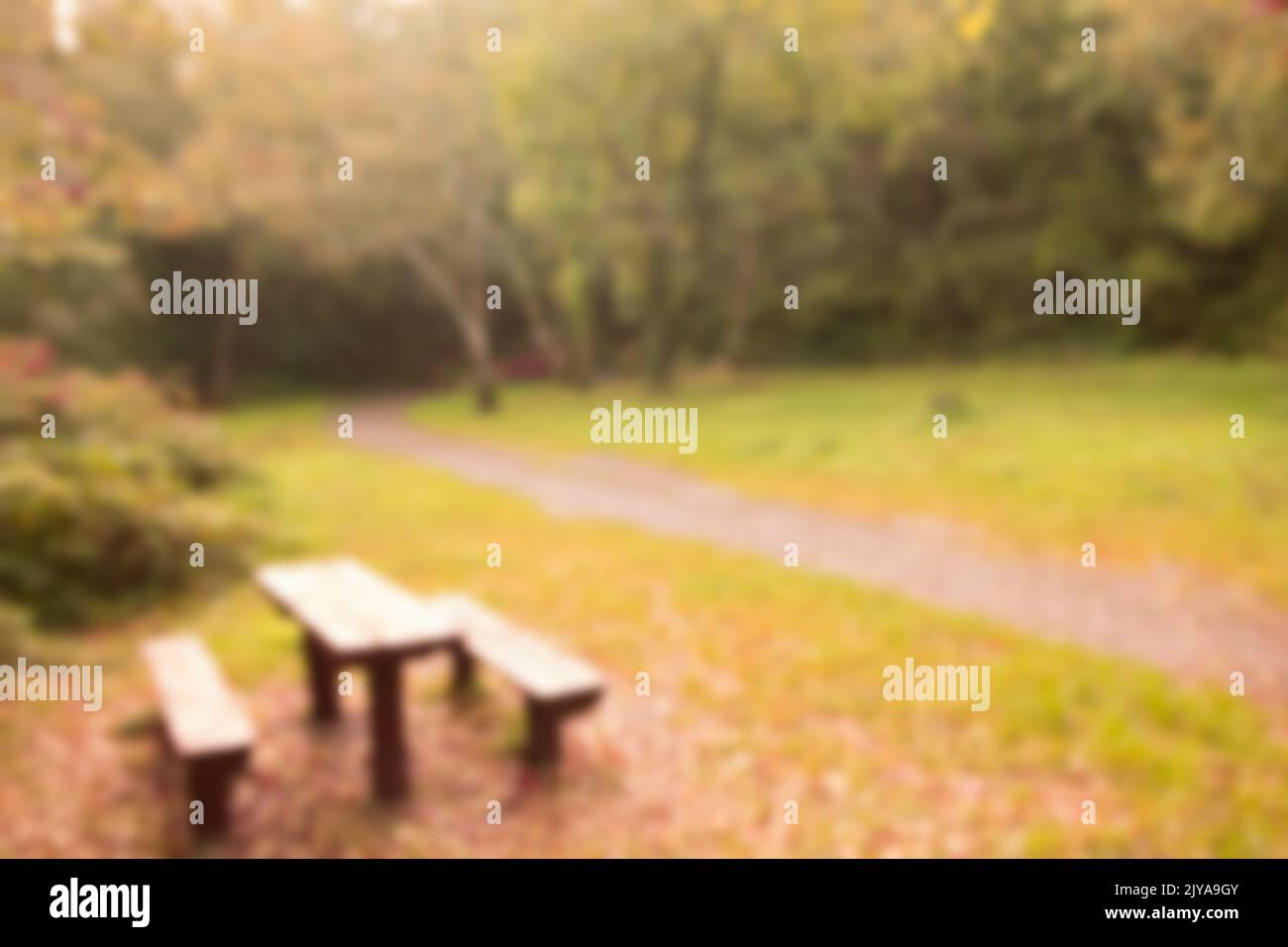 Empty benches on field by footpath Stock Photo - Alamy