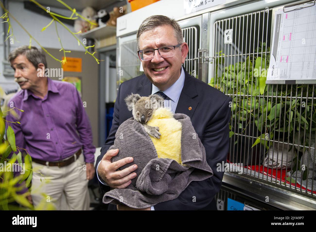 Senator Paul Scarr is seen visiting the animal hospital at the RSPCA ...