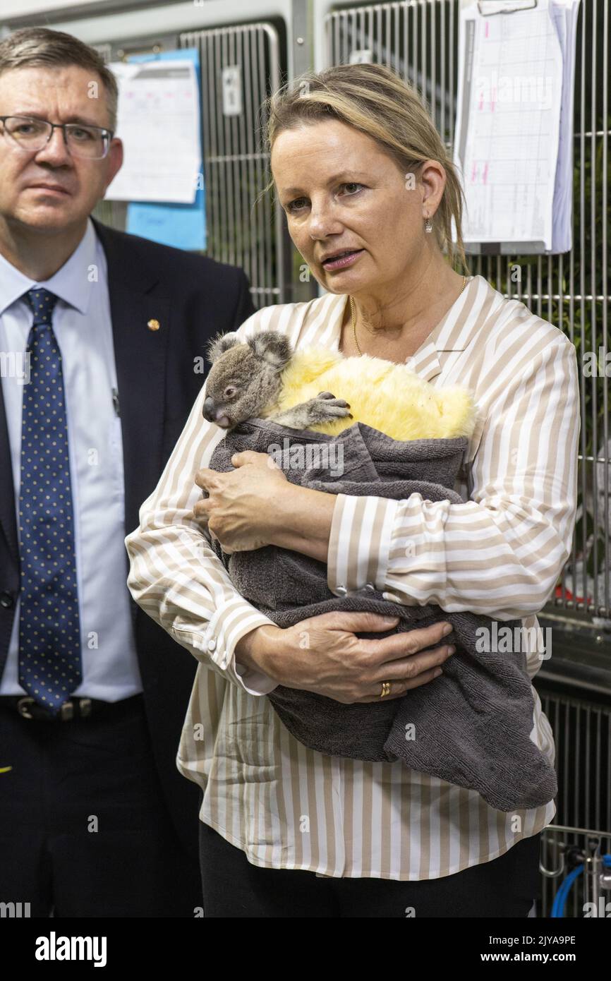 Minister for the Environment Sussan Ley and Senator Paul Scarr are seen ...