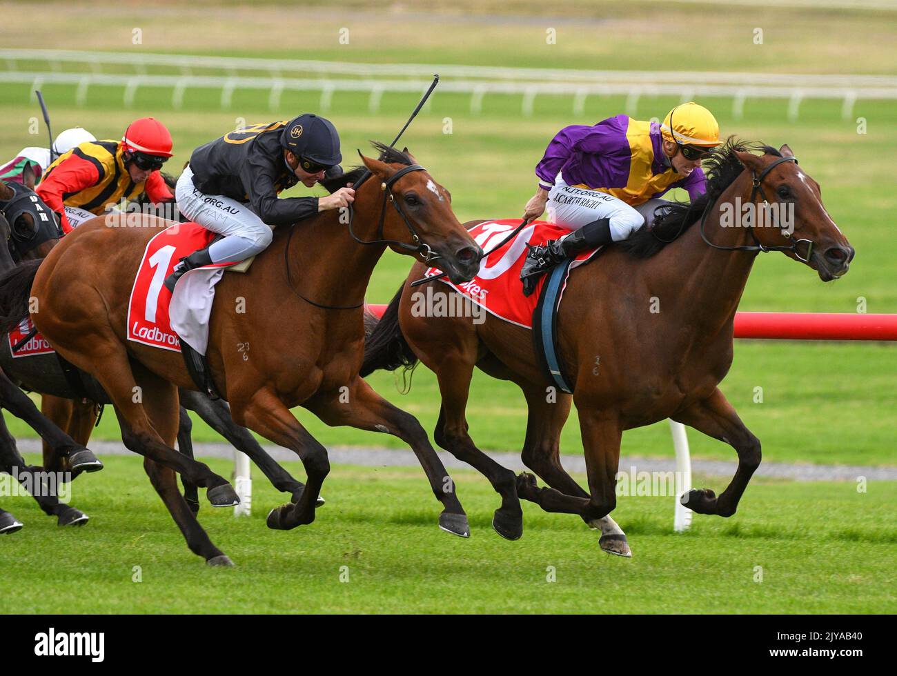 Jockey Josh Cartwright rides Seafield Road to victory in race 2, the Le ...