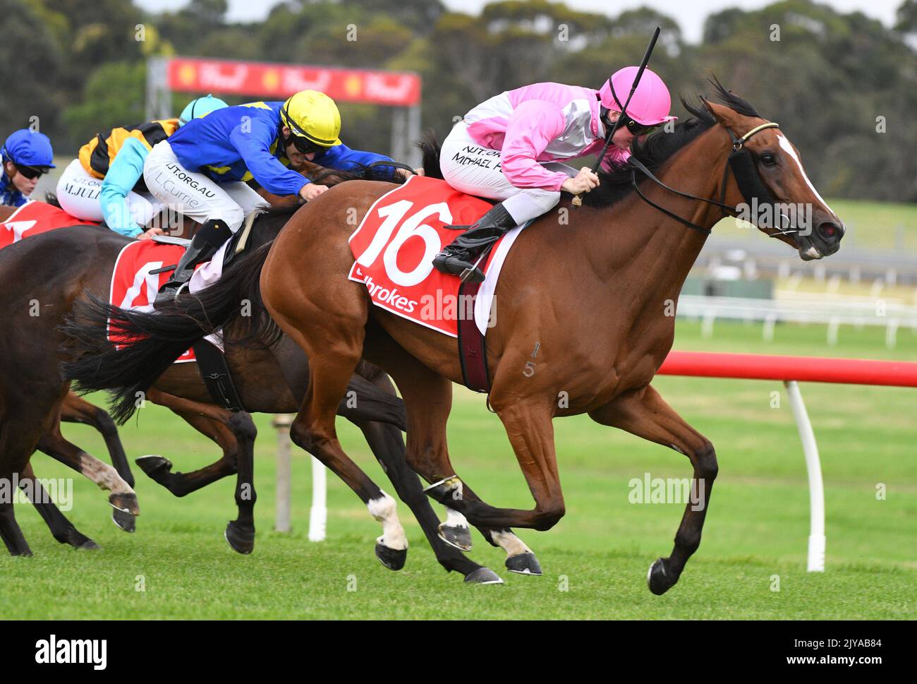 Jockey Michael Poy rides Canford Lass to victory in race 5, the Ladbrokes Back Yourself Handicap ...