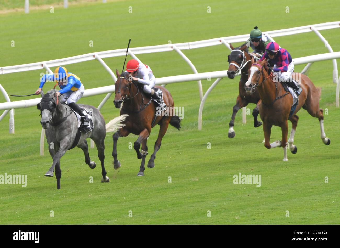 Jockey Joshua Parr rides Fun Fact to victory in race 4, the PFD Food ...