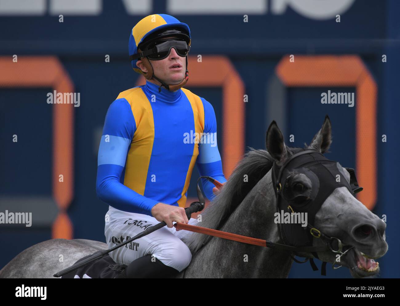 Jockey Joshua Parr returns to scale after riding Fun Fact to victory in ...